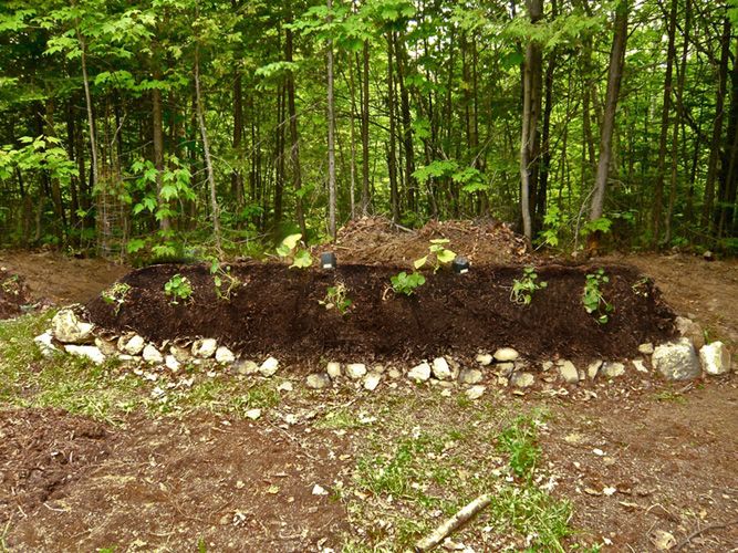 Hugelkultur Gardening – Farmgirl School