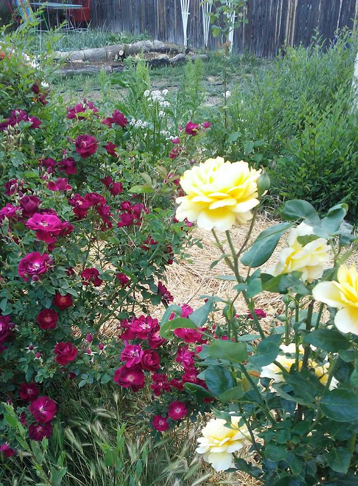 The Good Life Map – Farmgirl School