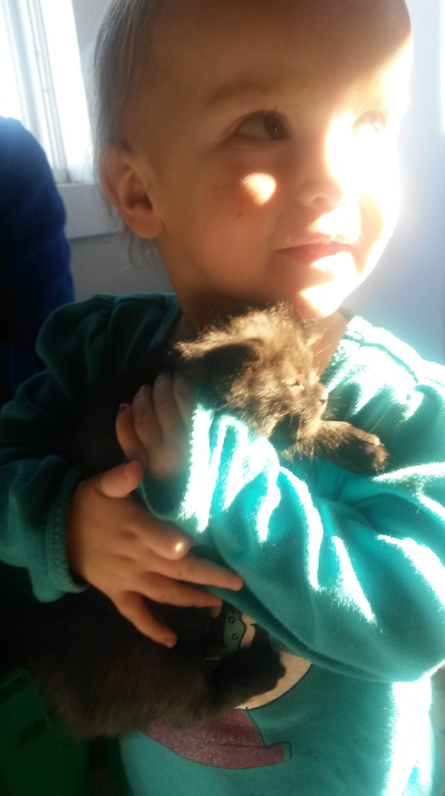 The Multi-Generational Legacy of Farming and Homesteading – Farmgirl School