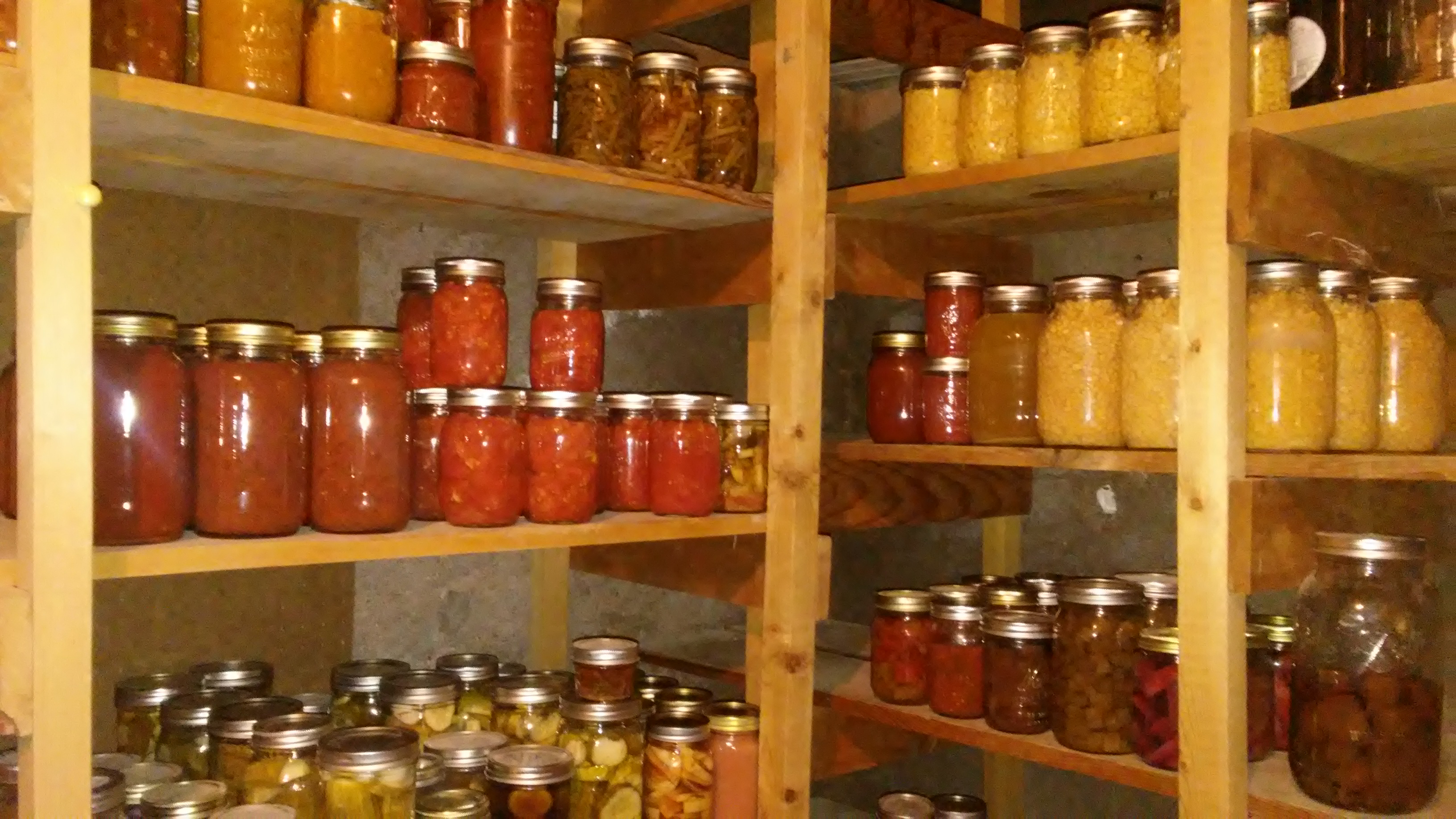 Top 10 Homesteading Tips I Have Learned Over the Years – Farmgirl School