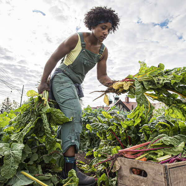 Best Farming Clothes – Farmgirl School