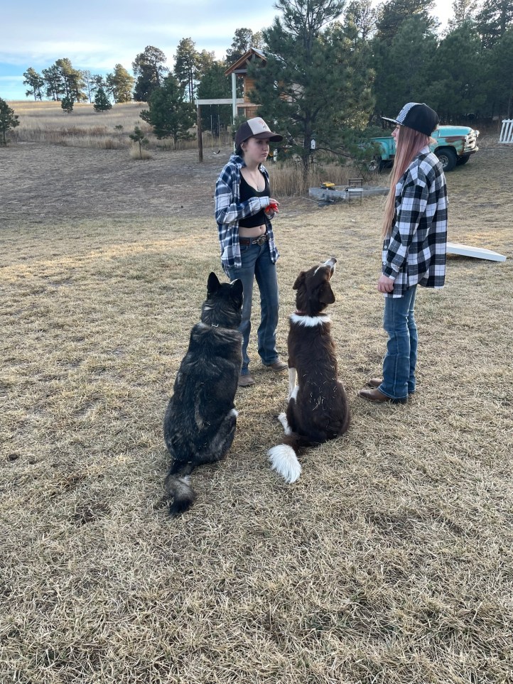 Take Me Out to the Ballgame (a birthday party) – Farmgirl School